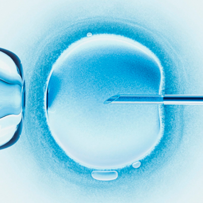 Frozen Embryo Cycles – Effective Strategies to integrate Whole Systems ...