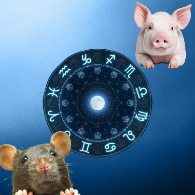 From Rat to Pig: Unlocking the Destiny Chart and Elemental Personality ...
